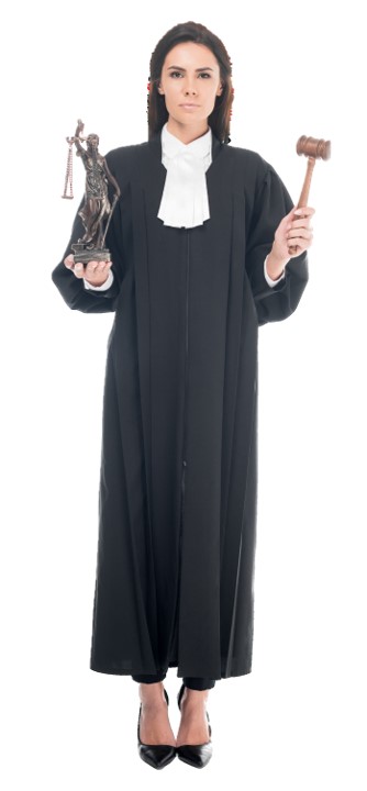 Expert Valuation Reports for Litigation | Troy Valuations